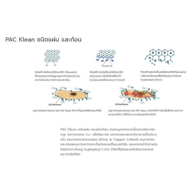 แถมฟรี 1 ชิ้น PAC KLEAN แผ่นละลายเมือกในถาดน้ำทิ้งแอร์แบบติดผนัง (3ซองแพ็ค) - packlean - ThaiPick