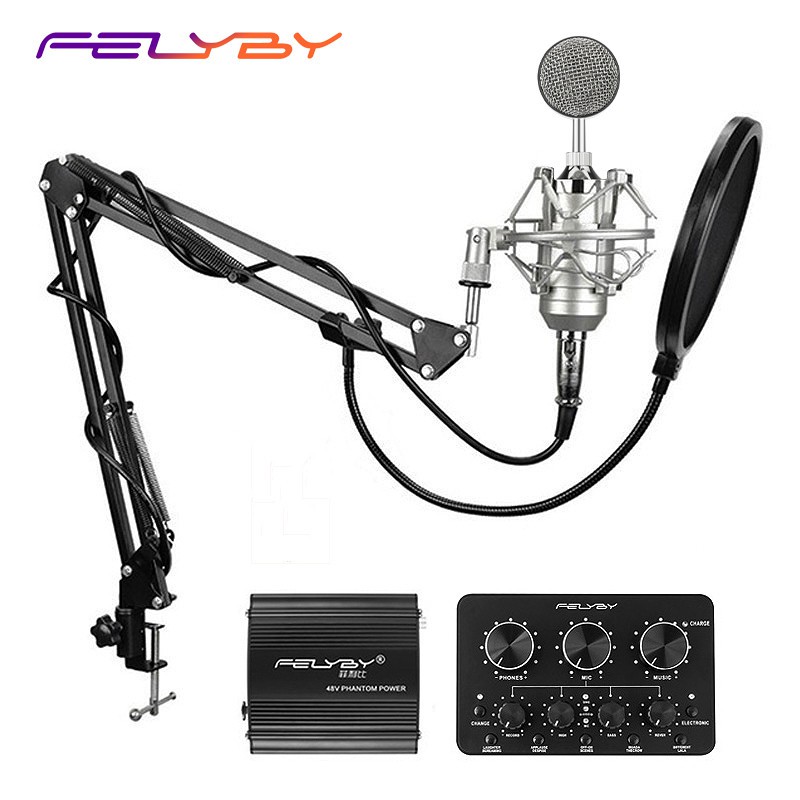 FELYBY Professional Recording Condenser Microphone MIcrophone Set With ...