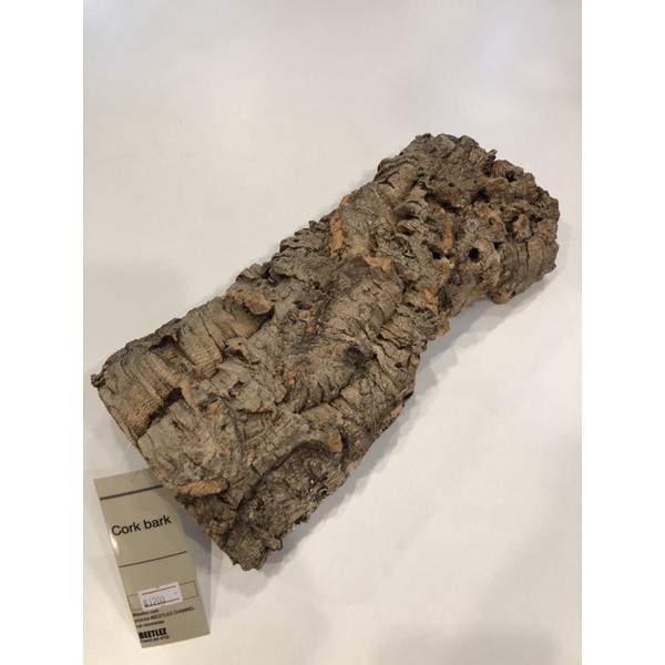 Cork bark wood for Isopod and insect | Shopee Thailand