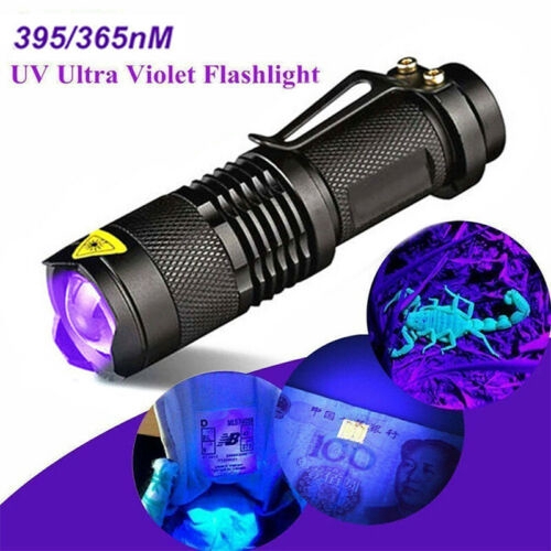 ไฟฉาย Uv Ultra Violet Led 395 / 365 Nm ตรวจสอบ | Shopee Thailand