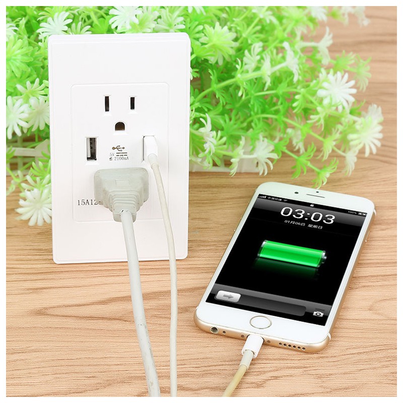 Dual USB Port Wall smat Socket Charger Outlet Plate Panel HU - oudhyed ...