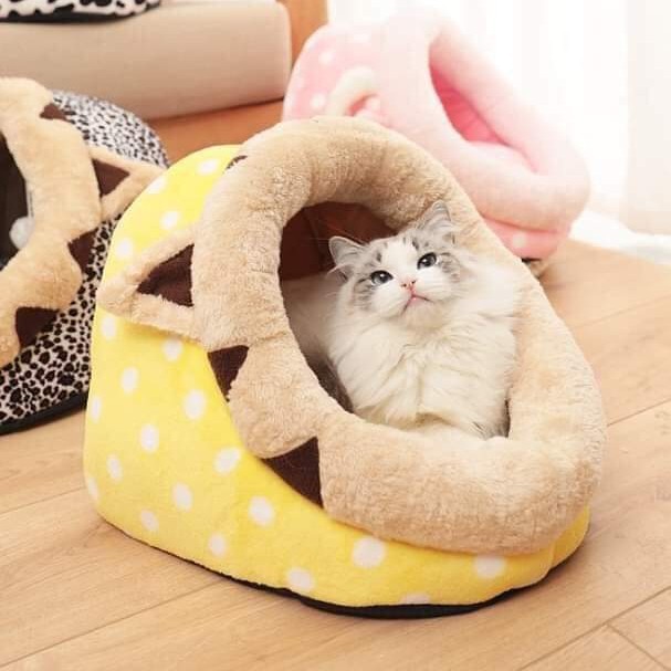 CatHoliday ที่นอนผ้าตุ๊กตา ที่นอนสัตว์เลี้ยง vIsv - gvux8rbcei - ThaiPick