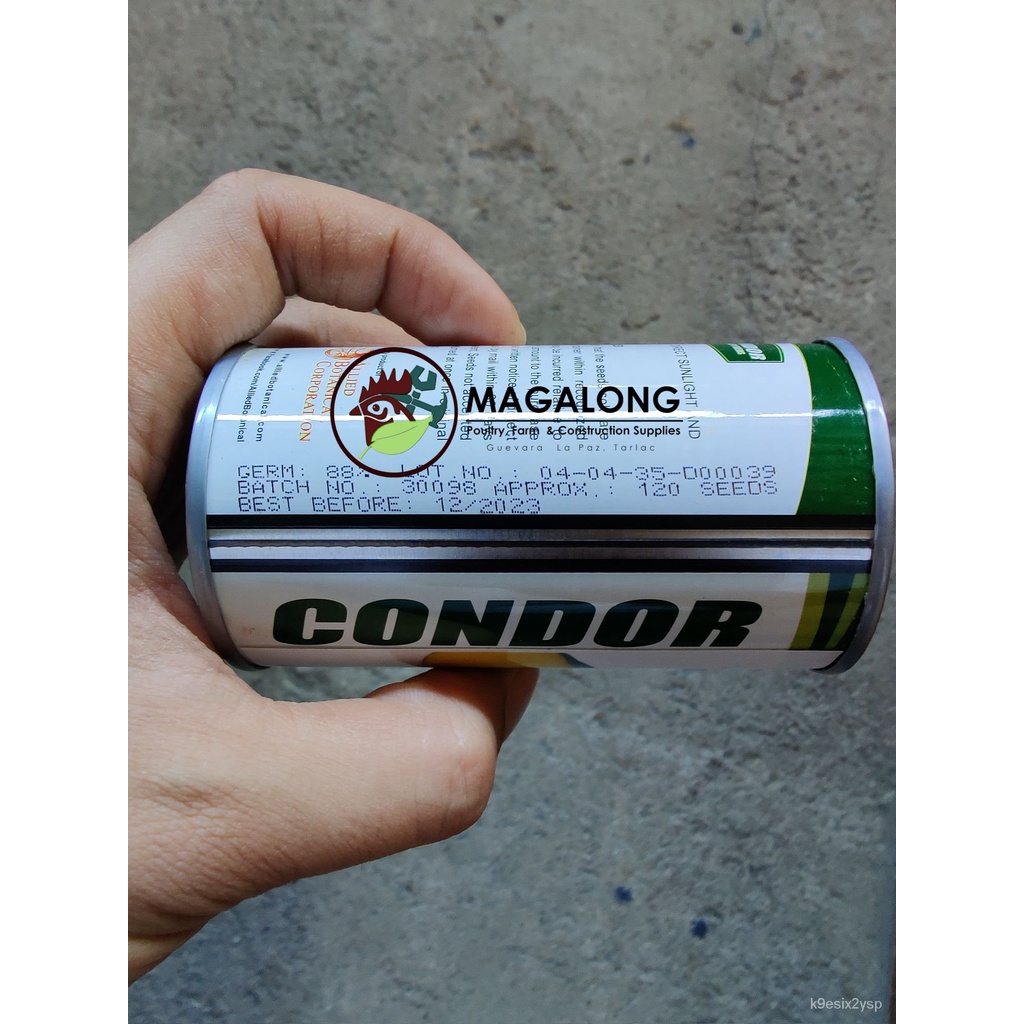 จุดประเทศไทย CONDOR SEEDS - CALABASA SEEDS - AVIDA F1 HYBRID 120 Seeds ...