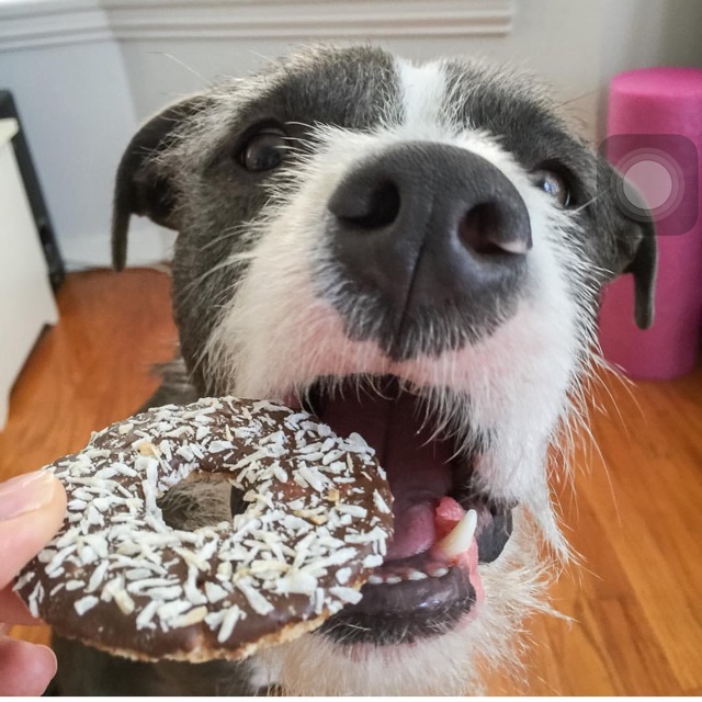 woofie, ร้านค้าออนไลน์ | Shopee Thailand