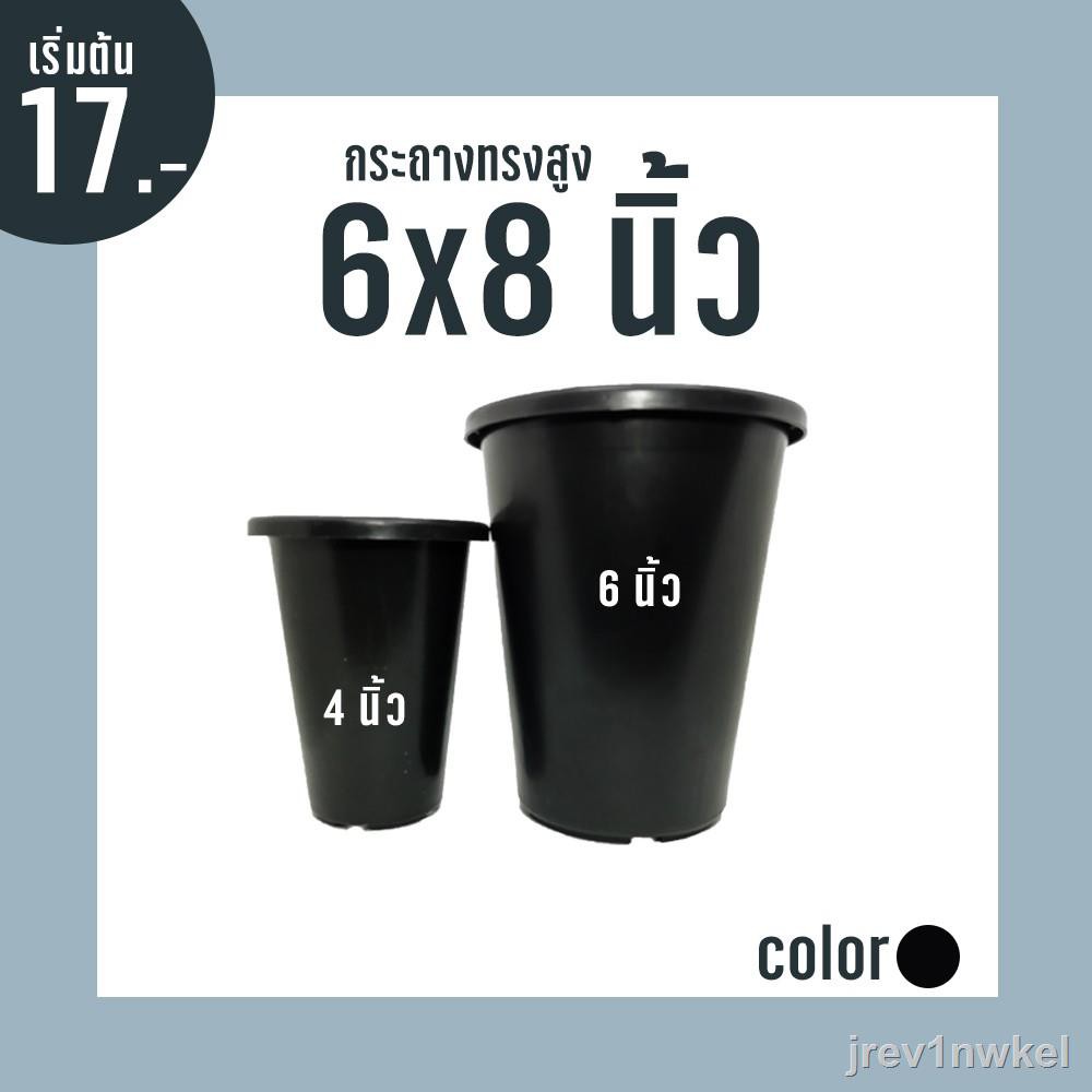 ☊♈กระถางปลูกตอทรง สูง 6 นิ้ว 8 30 ใบขึ้นไป 14 บาท Shopee Thailand