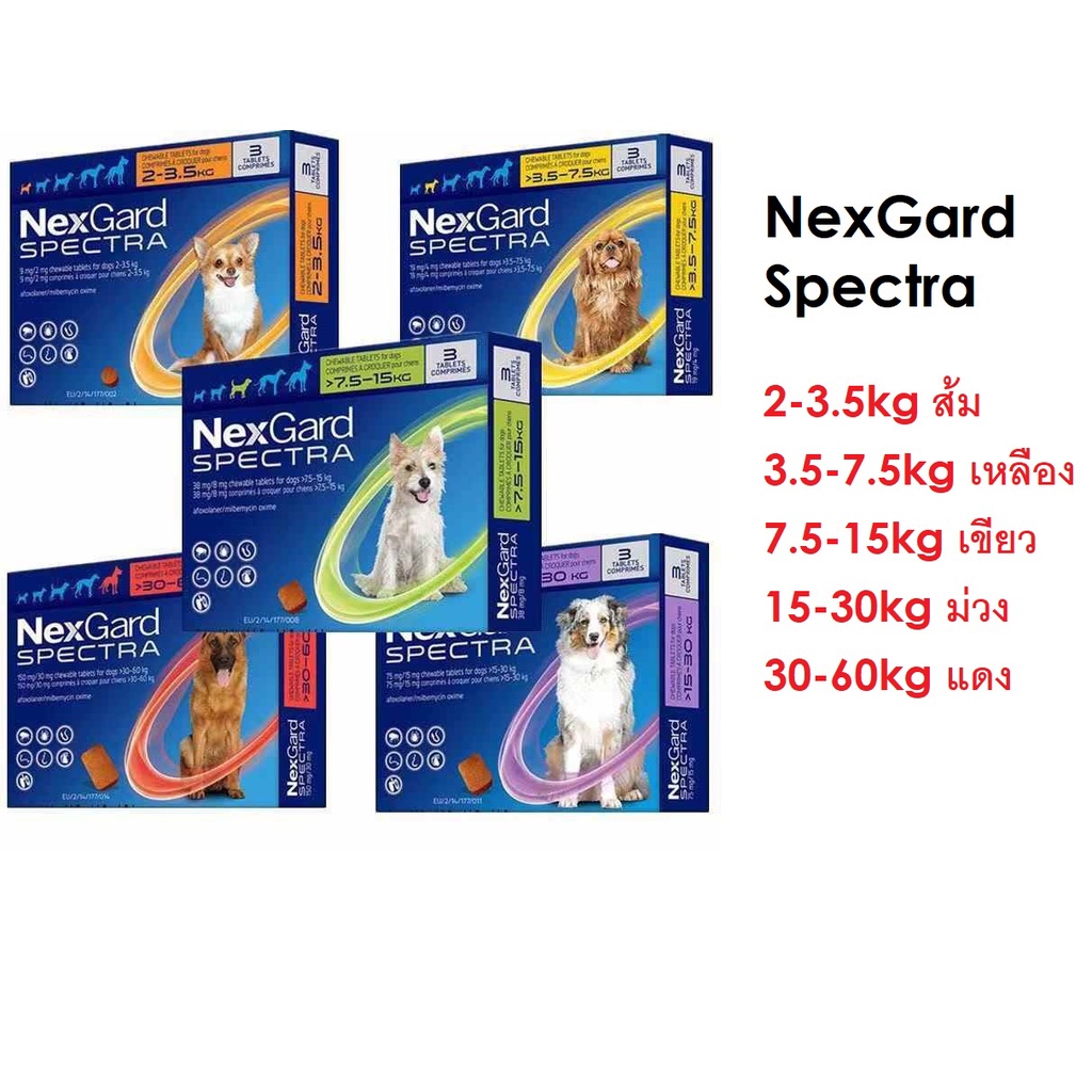 Nexgard Spectra ยากำจัดเห็บหมัด ชนิดเม็ดเคี้ยว ป้องกันการเกิดพยาธิหนอน ...