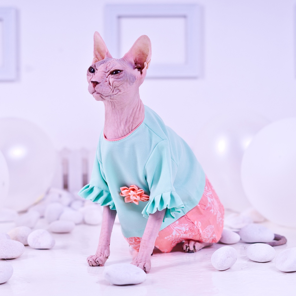 [Shop Malaysia] [ Baju Raya Kucing ] Pastel Edition - Jasmine Mint ...