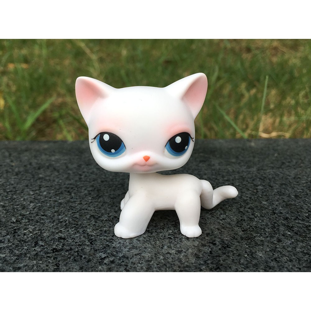 Littlest Pet Shop Figures LPS 64 White Pink Cat Blue Eyes Kitty Kitten ...