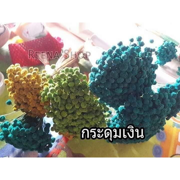 ดอกกระดุมเงินแห้งสั่งย้อมสีทักแชท Shopee Thailand