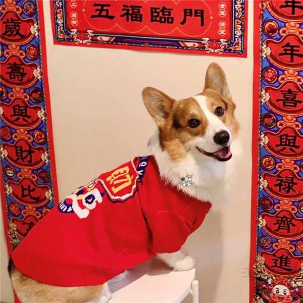 ฤดูใบไม้ร่วง ฤดูหนาว ปีใหม่ ปี สุนัข สีแดง งานรื่นเริง แมว แปรงอบอุ่น ...