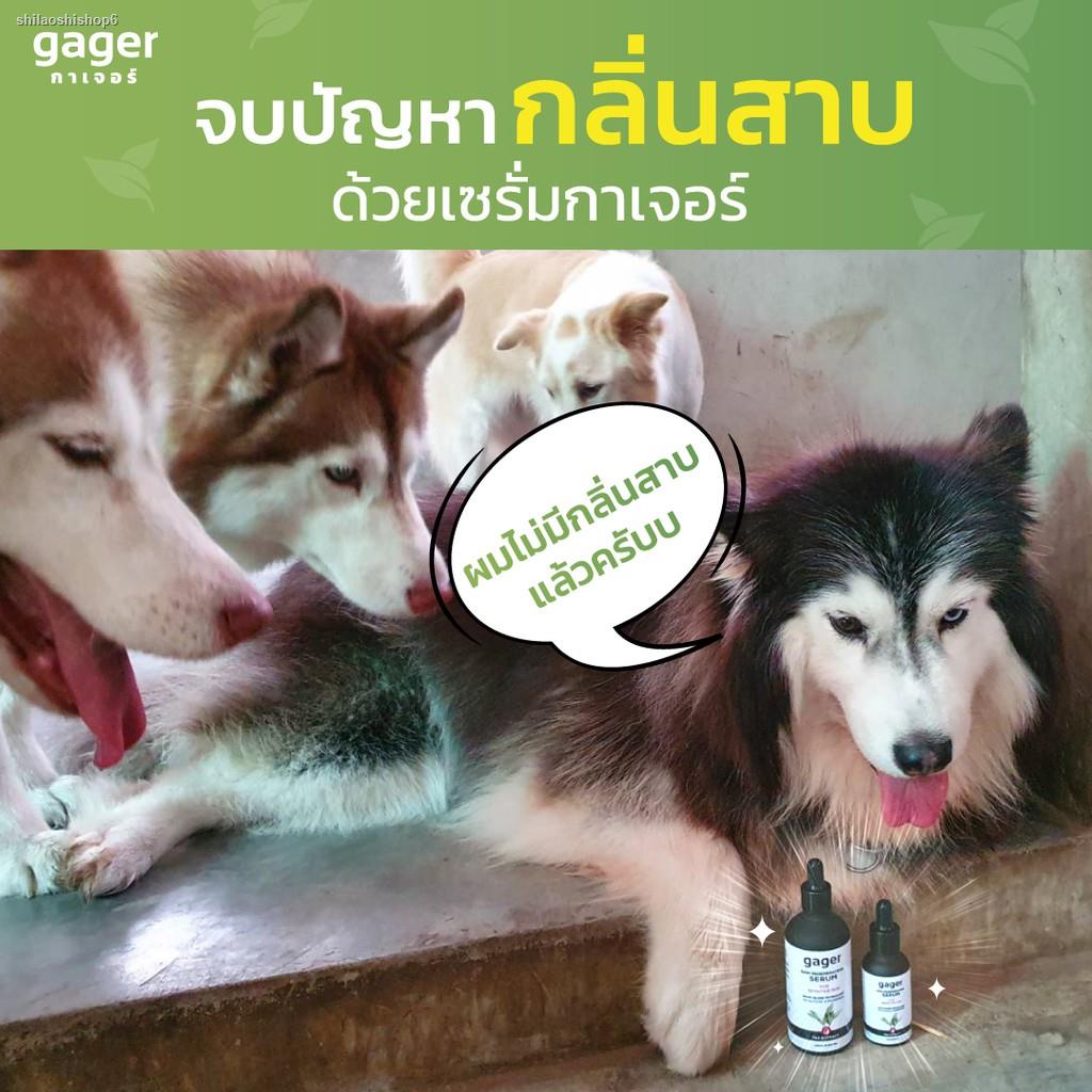 จัดส่งเฉพาะจุด จัดส่งในกรุงเทพฯGager เซรัมนาโนซิลเวอร์ ดับกลิ่นสาบสุนัข ...