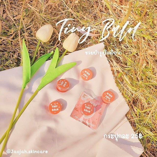 Tiny Balm ลิปไทนี่บาล์ม | Shopee Thailand