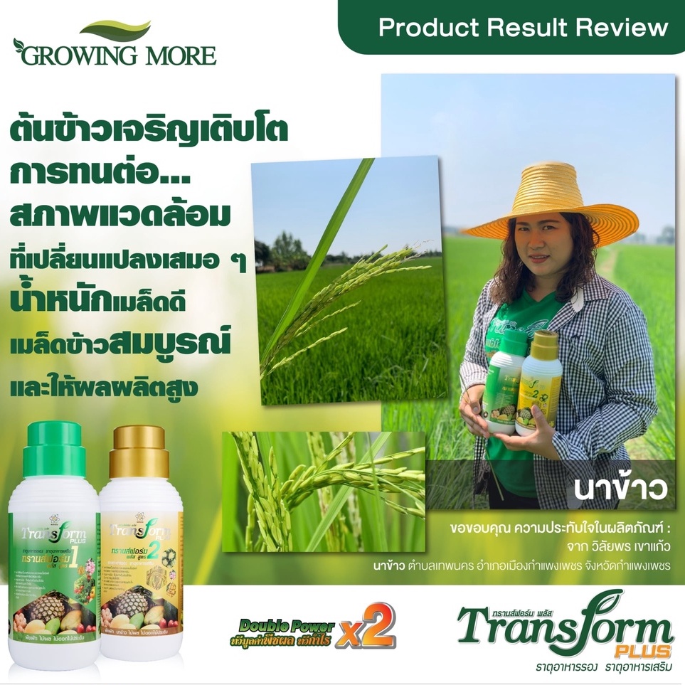 ซื้อ 4 (1 ลิตร) ฟรี 1 ขวด (500 มล.) ทรานส์ฟอร์ม พลัส สูตร 2 ขวดสีเหลือง ผลผลิตงอกงาม ผลดก ขยาย ...