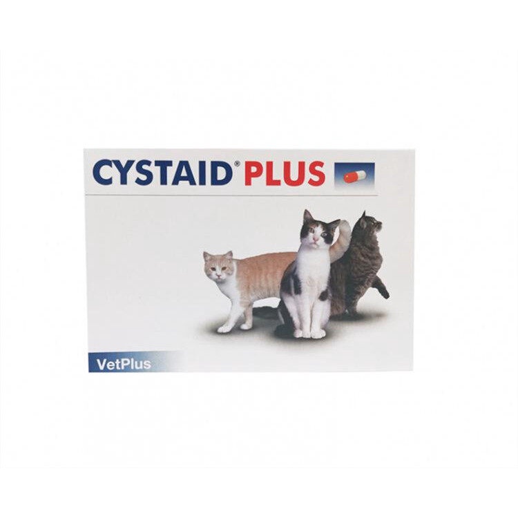 Cystaid Plus for Urinary System Problems in Cats (ช่วยให้ปัสสาวะสะดวก ...