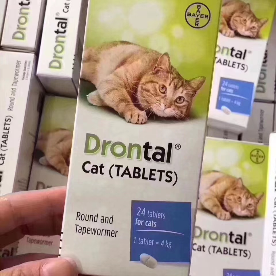 Drontal Cat Bayer Exp.112024 ดรอนทัล แคท สำหรับ แมว cat (8 เม็ดtablets ...
