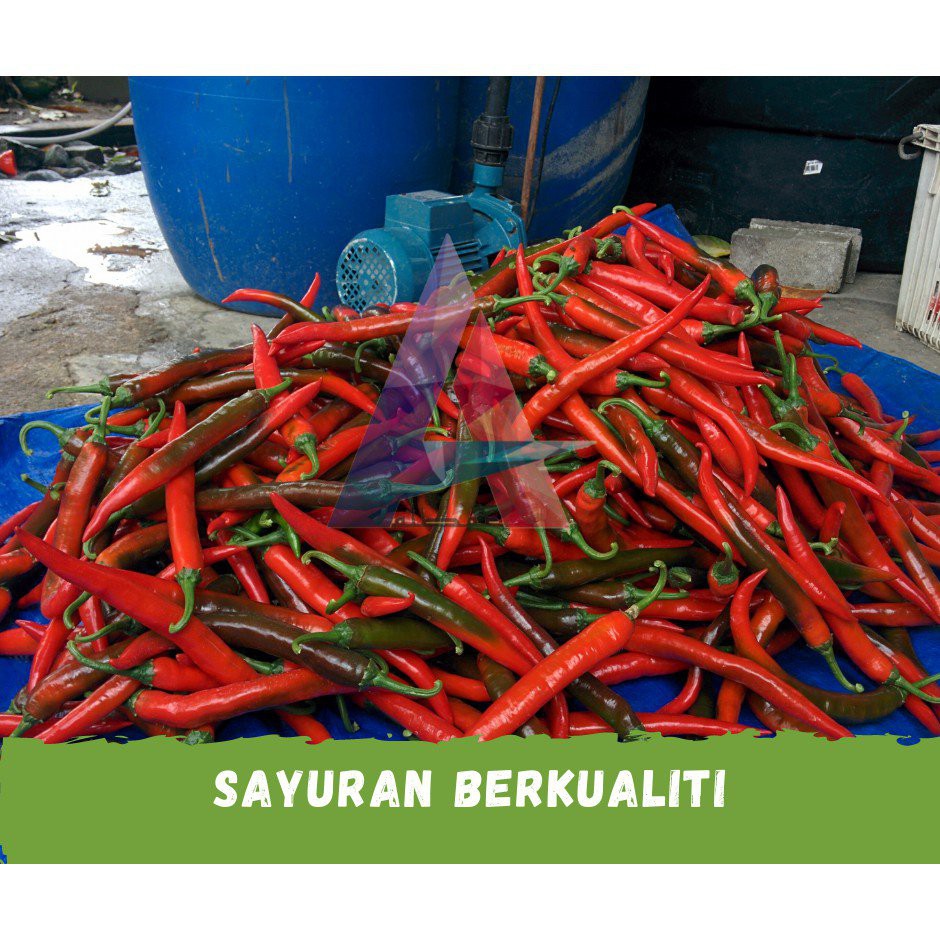 2L Baja AB extra booster Fertigasi Hidroponik&tanaman tanah Fertilizer ...