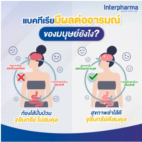 Interpharma Probac Mood 1 กล่อง บรรจุ 30 ซอง กลิ่นกล้วยหอม โปรแบค มู้ด ...
