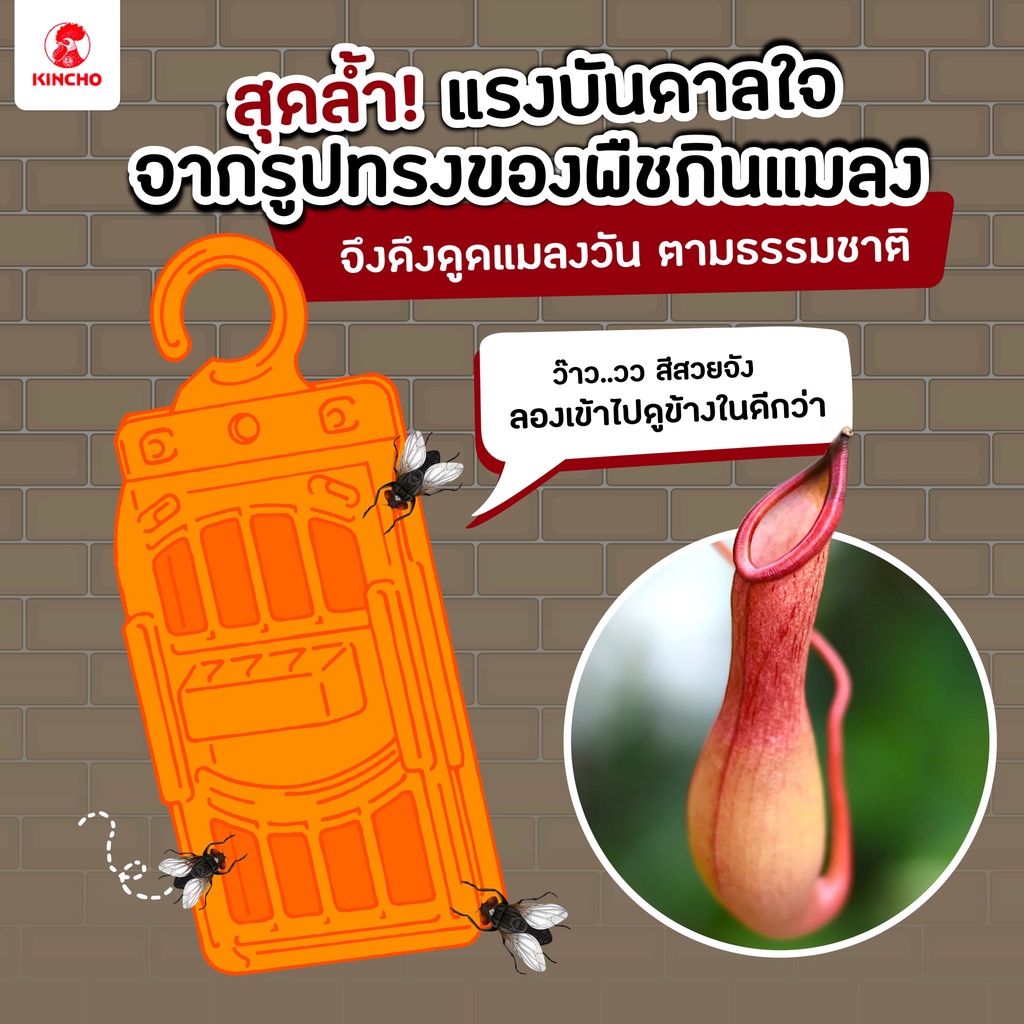 คินโช ที่ดักแมลงวัน แบบแขวน KINCHO POTTON HANGER Fruit Fly Trap Hung on type - kinchoth - ThaiPick