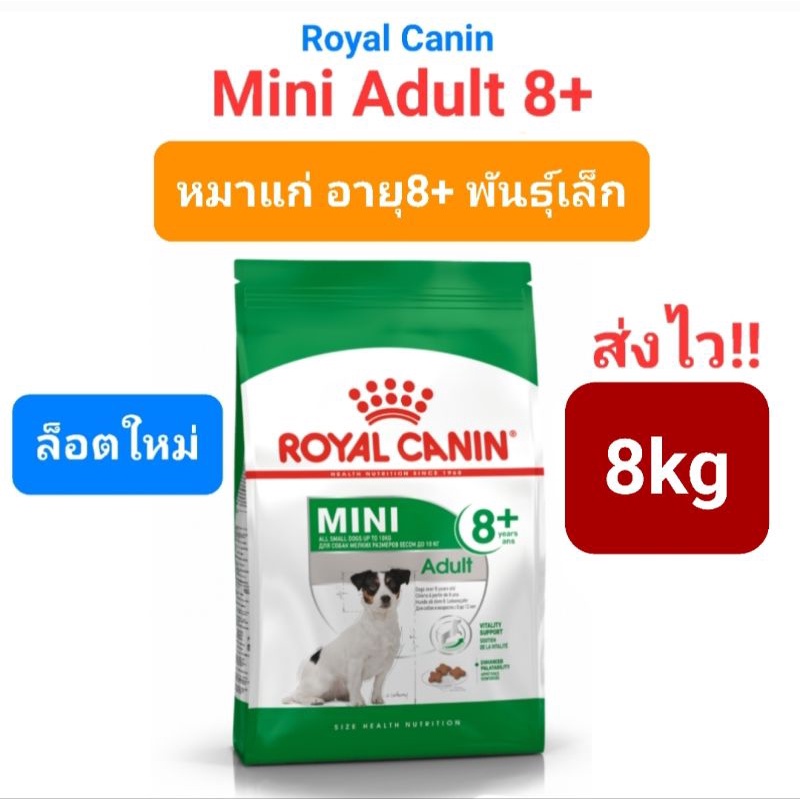 Royal Canin Mini Adult 8kg Royal Canin Mini Adult 8 8kg รอยัลคานิน ...
