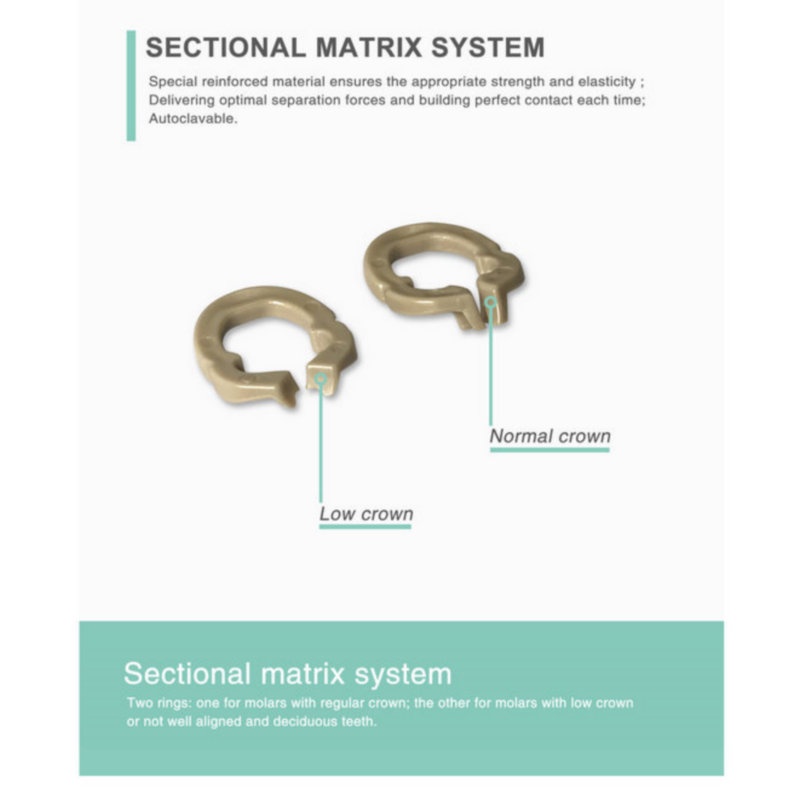 High Quanlity Dental Sectional Matrix System Dental Sectional Matrix ...