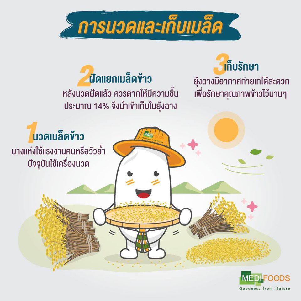 ฮักปันยกลัง (4ถุง) ข้าวหอมเบอร์รี่ ขนาดบรรจุ 5 กก (Hugpun Berry Rice 5 ...