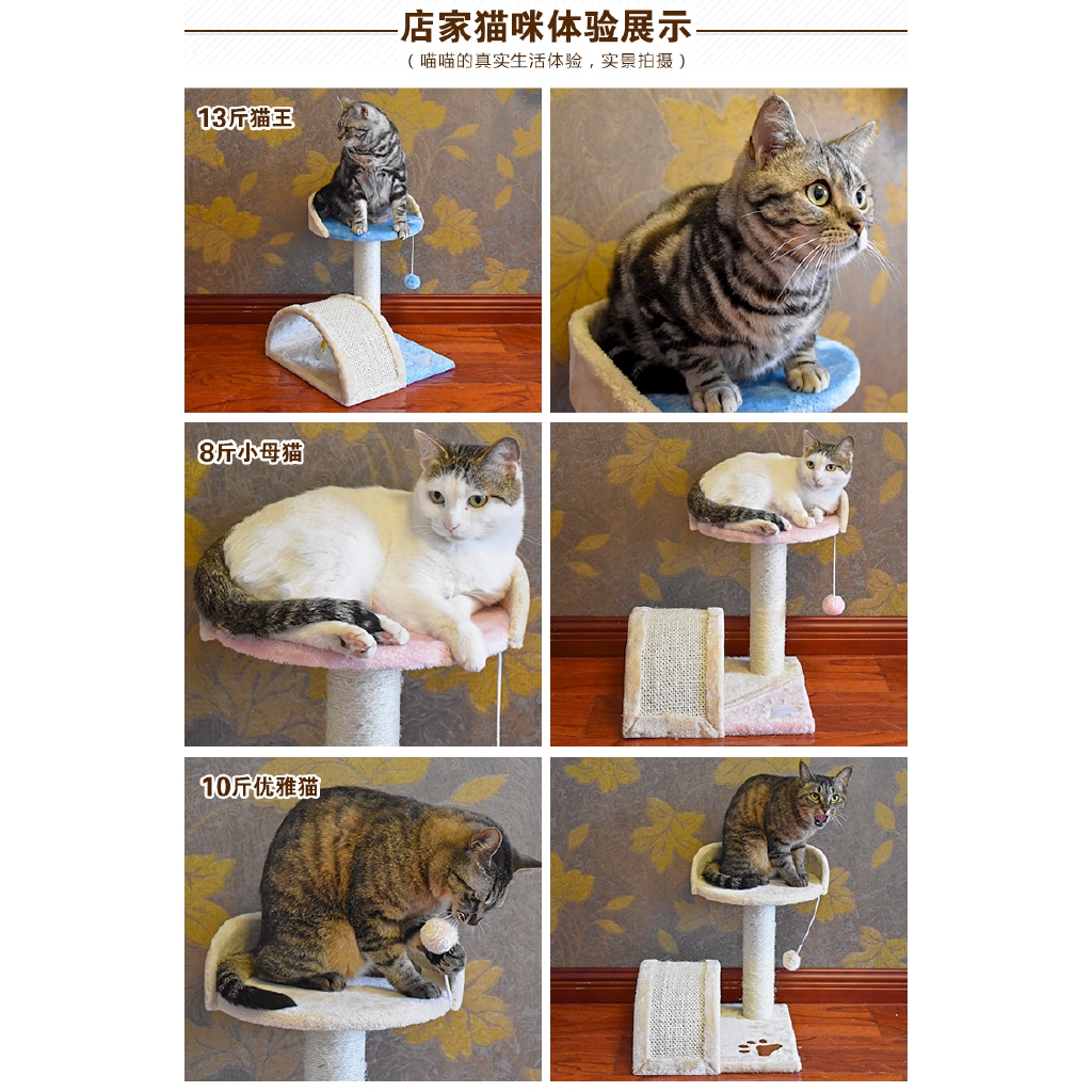 MAODOU/Edamame ขนาดเล็ก แมวปีนกรอบป่านศรนารายณ์บดกรงเล็บแมวกรงเล็บ ...