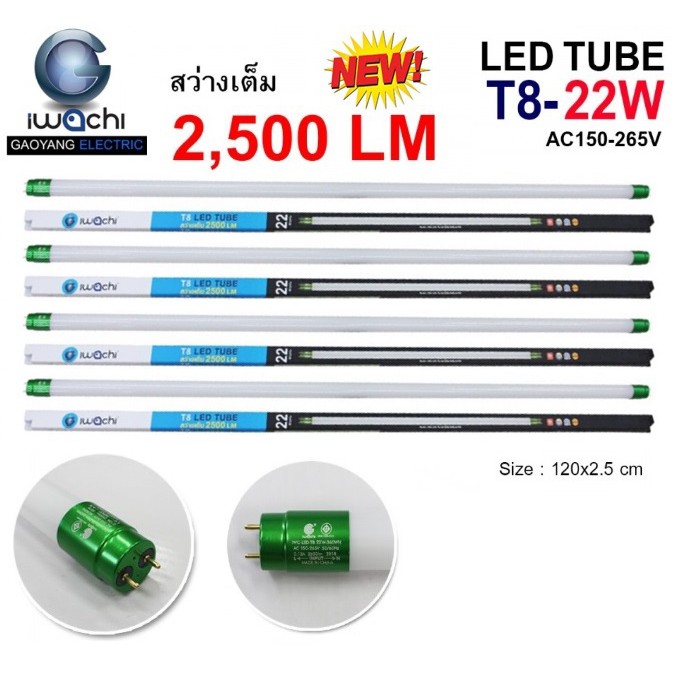 IWACHI หลอดไฟ LED T8 22W Daylight - toponepowerelectric - ThaiPick
