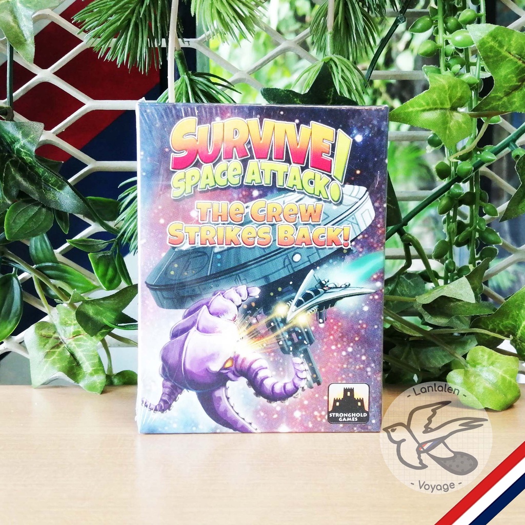 Survive หลบหนีข้ามมหาสมุทร Oh My ภาษาไทย ลานละเล่น Dolphins Space ...