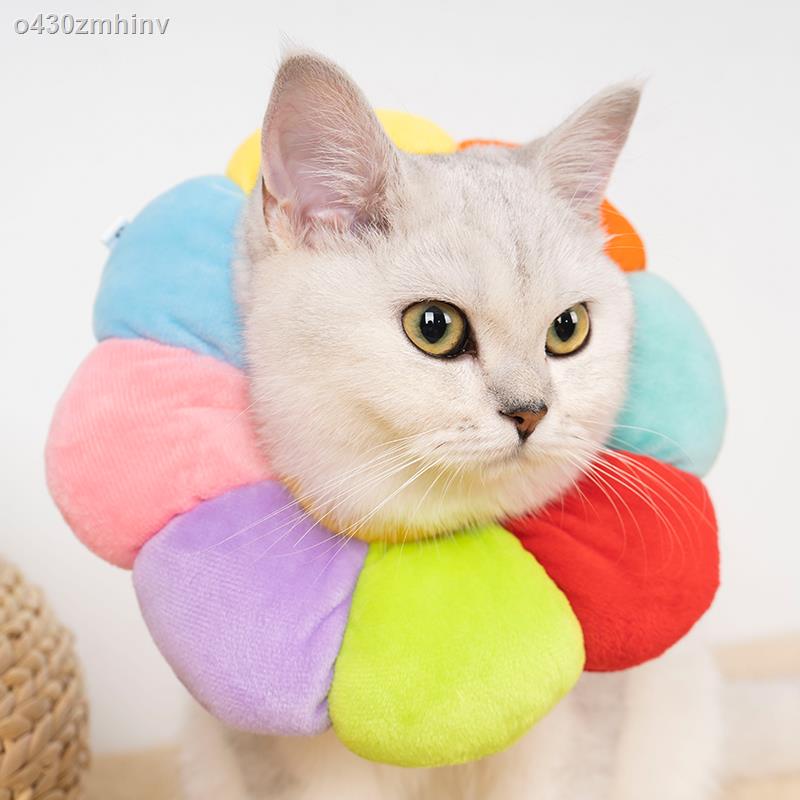 Cat Elizabeth ring soft cat headgear ป้องกันการเลียและกัดฆ่าเชื้อแหวน ...
