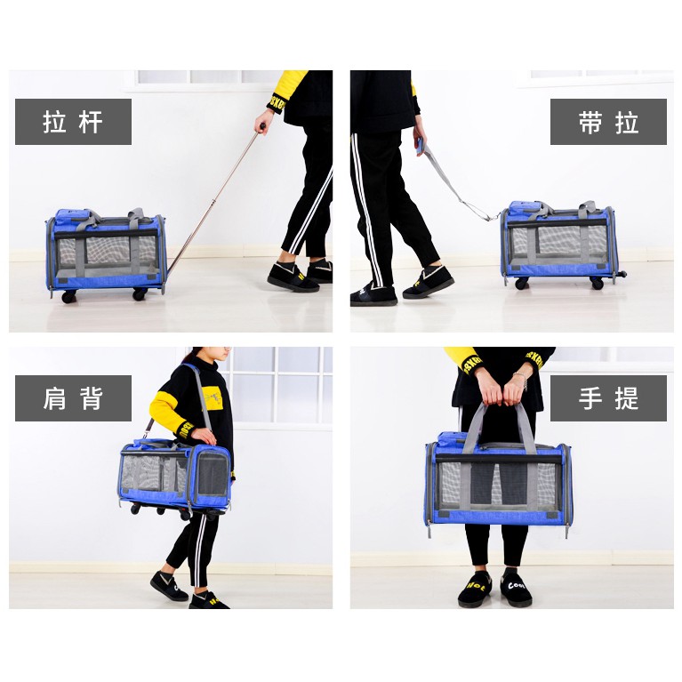 Boqi factory กระเป๋าใส่สัตว์เลี้ยง กระเป๋าหมา กระเป๋าแมว กระเป๋าหมาล้อ ...