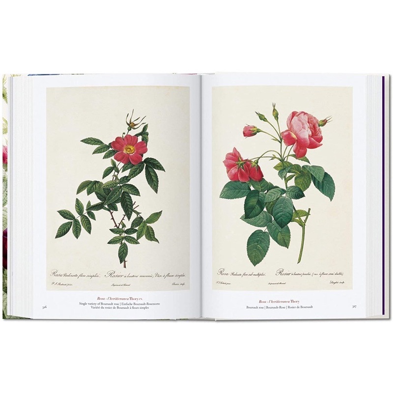 REDOUTE BOOK OF FLOWERS (TASCHEN 40) - praw.07 - ThaiPick