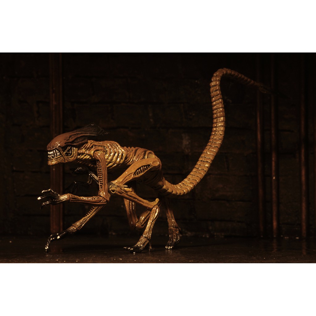NECA Alien 3 Accessory Pack Creature Pack - uvm8z_ocyj - ThaiPick