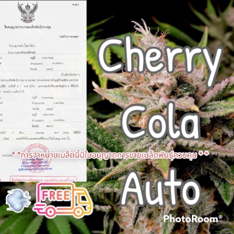 เมล็ด Cherry Cola Auto รวมรสเบอร์รี่ส่งฟรีไม่งอกเครมให้ใหม่ทั้งชุด ...
