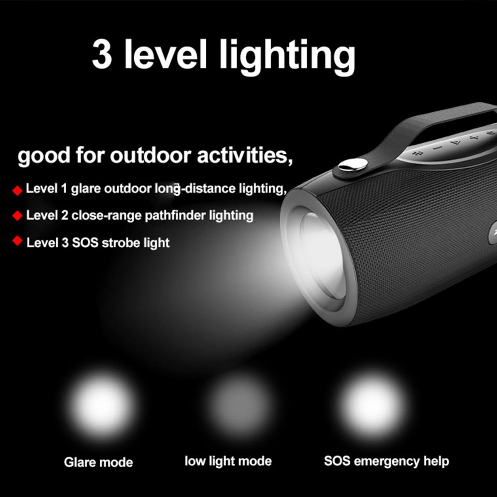 ZEALOT S29 Outdoor Portable Wireless Bluetooth Speaker with FM Radio TF ...