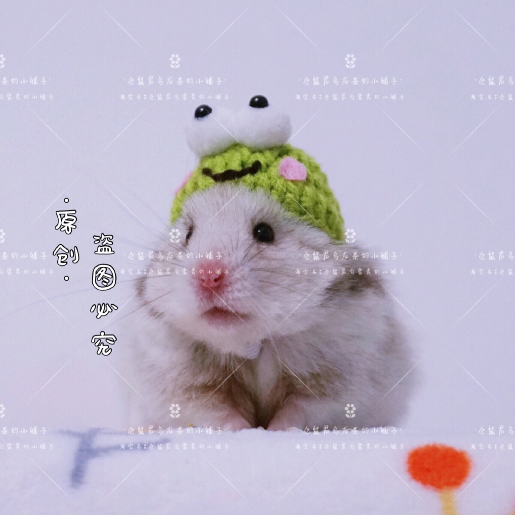 หมวกสัตว์เลี้ยง Bai Fu Mei Xiaopu กบน้อย หมวกสัตว์เลี้ยงหนูแฮมสเตอร์ ...