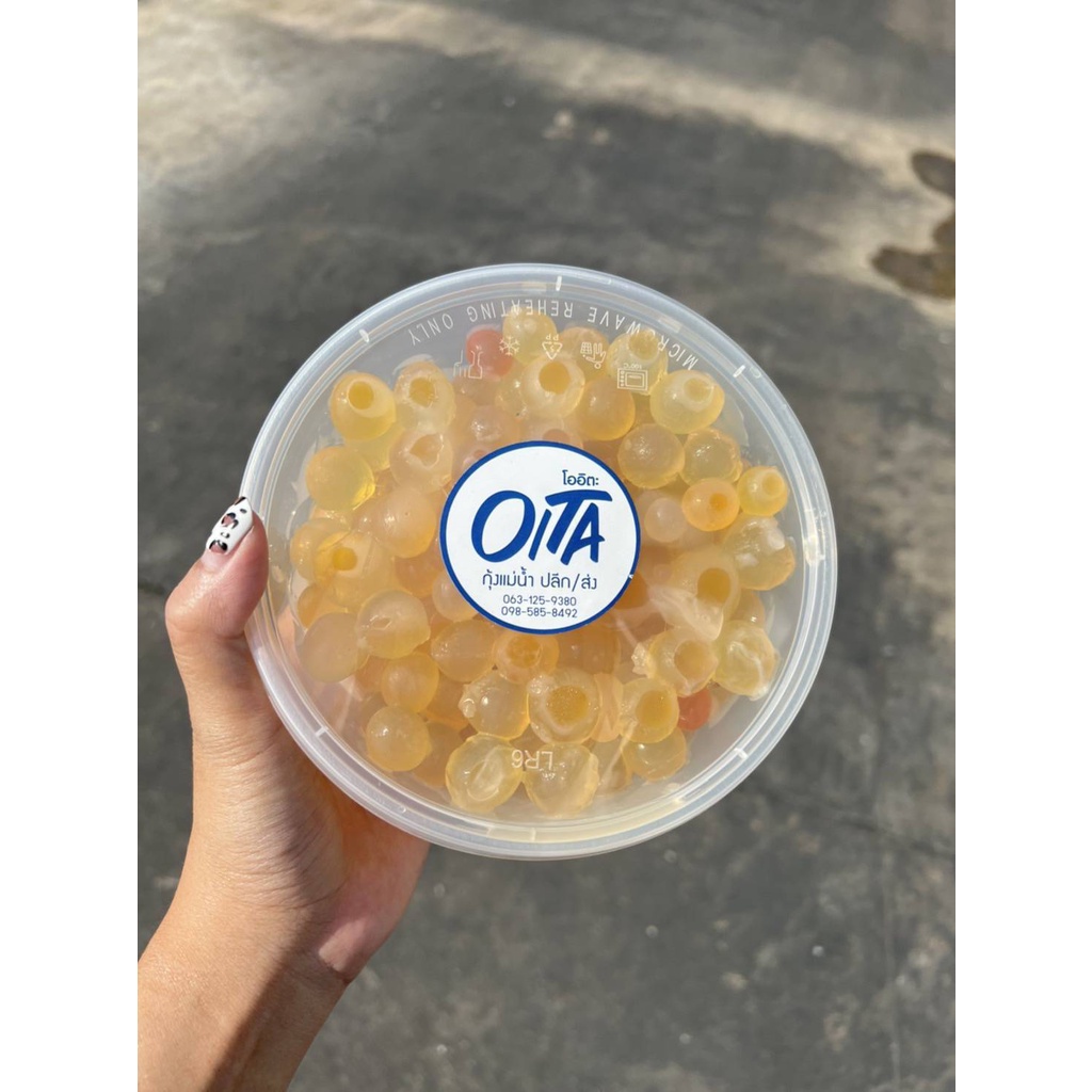 ไข่ปลาริวกิวแช่แข็ง ถูกที่สุด พร้อมโปรโมชั่น มิ.ย 2024|BigGoเช็คราคาง่ายๆ