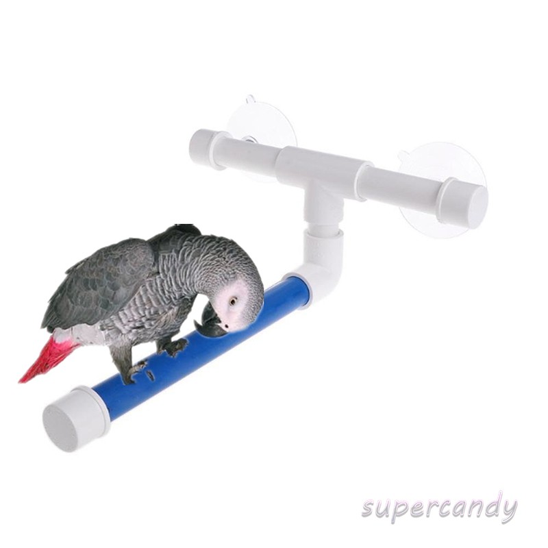 Bird Toy Foldable Parrot Shower Perch Stand With Suction Cup for ...