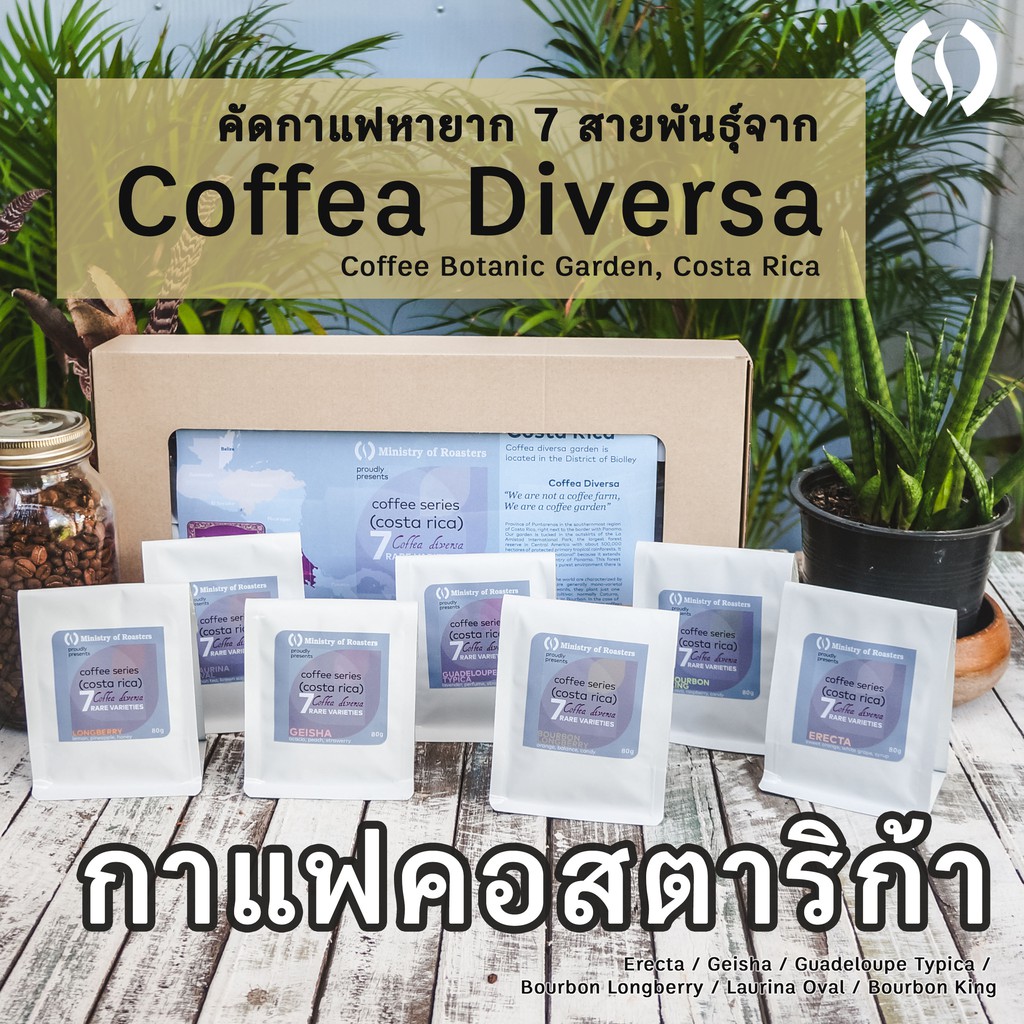 กาแฟ ดริป กาแฟคอสตาริก้า Coffea Diversa (Costa rica) Coffee Series ...