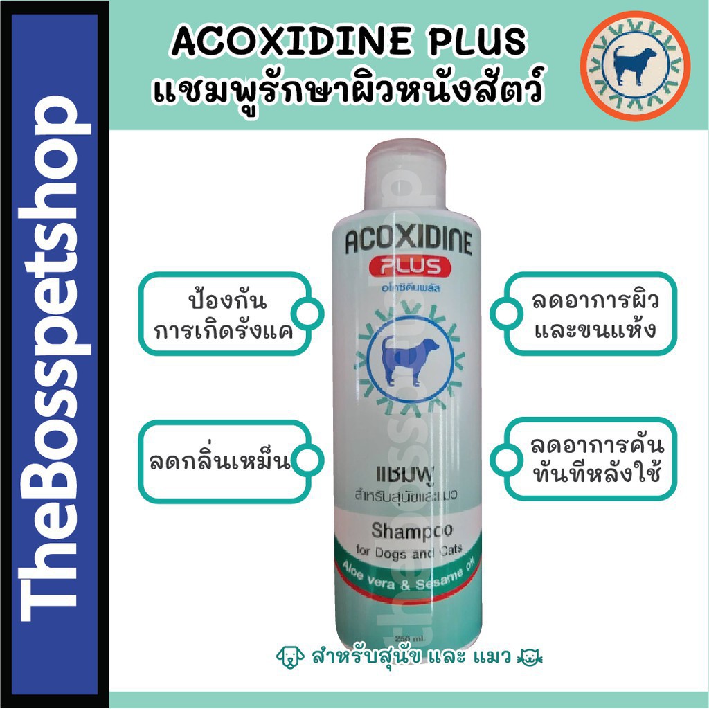 ข้อเสนอเวลาจำกัดราคาไม่แพงขายดีเป็นเทน้ำเทท่า ACOXIDINE PLUS แชมพู ...