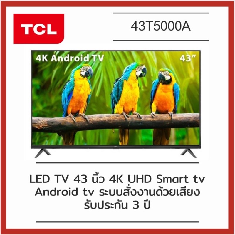 TCL ทีวี UHD LED (43", Android, 4K) รุ่น 43T5000 | Shopee Thailand
