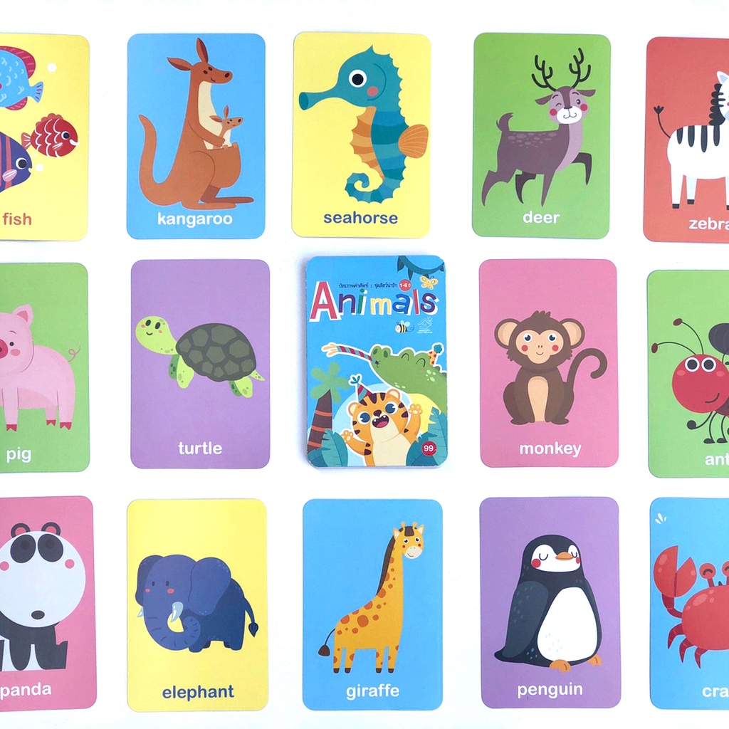 บัตรภาพ แฟลชการ์ด ราคาพิเศษ ขนาด 8x12 ซม. - khun.mom - ThaiPick