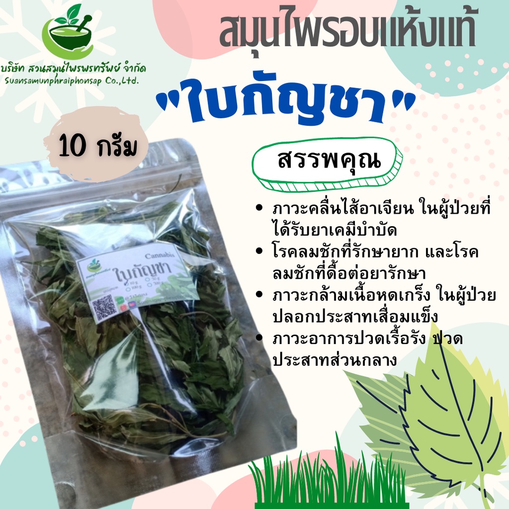 ใบกันชา บรรเทาอาการปวดเมื่อย ชาอบแห้ง ขนาด 10 กรัม พร้อมส่ง - baantung ...