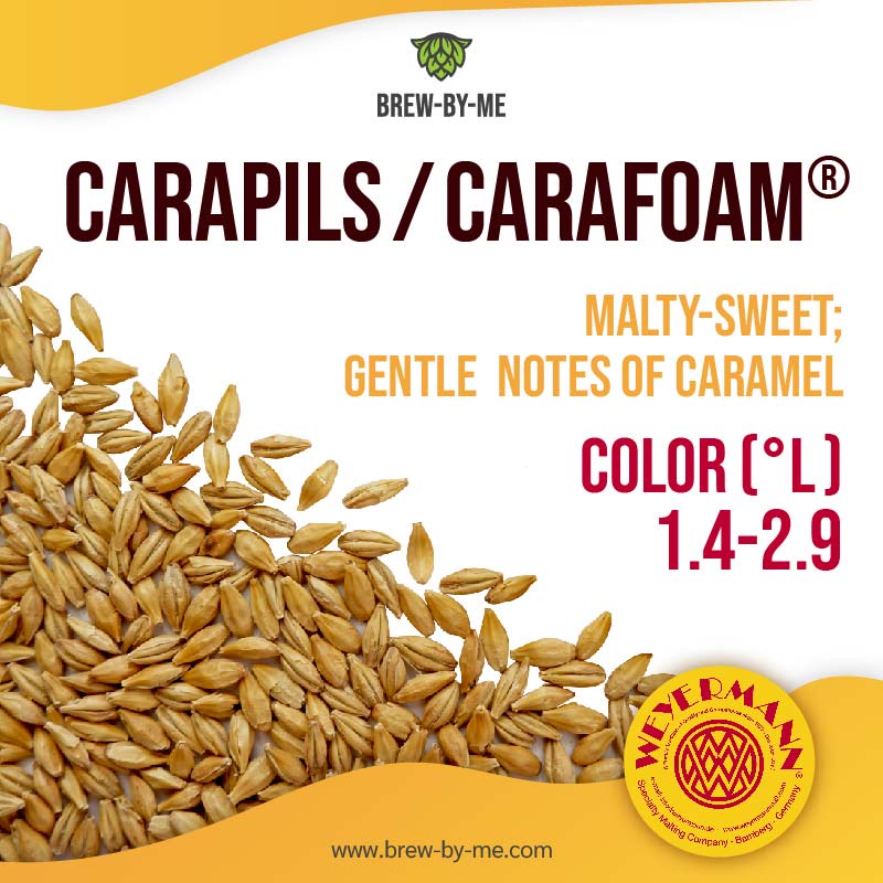 มอลต์ Carapils / Carafoam® Malt – Weyermann® Malt ทำเบียร์ | Shopee ...