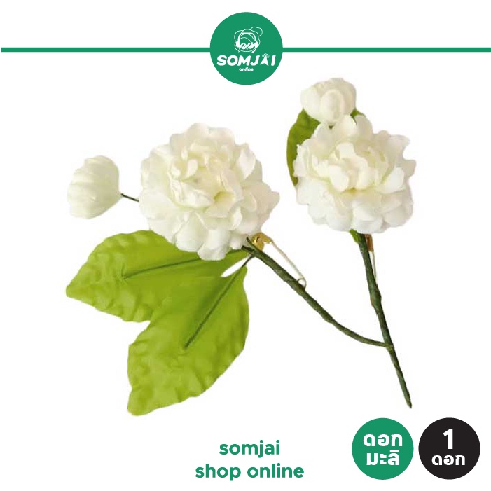 Somjai Selected ดอกมะลิวันแม่ แบบช่อคู่ จำนวน 1 ดอก - somjaishoponline ...