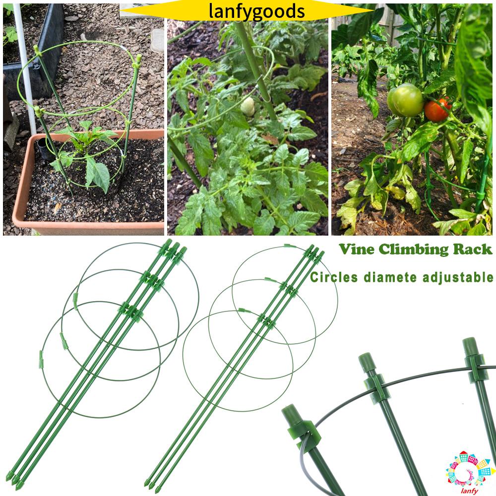 LANFY Hot Plant Support Frame Garden Supplies Gardening Tools Vine ...