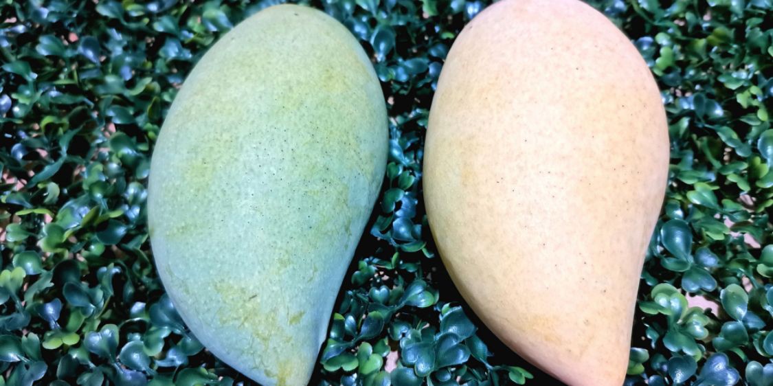 Farm Suk DD, ร้านค้าออนไลน์ | Shopee Thailand