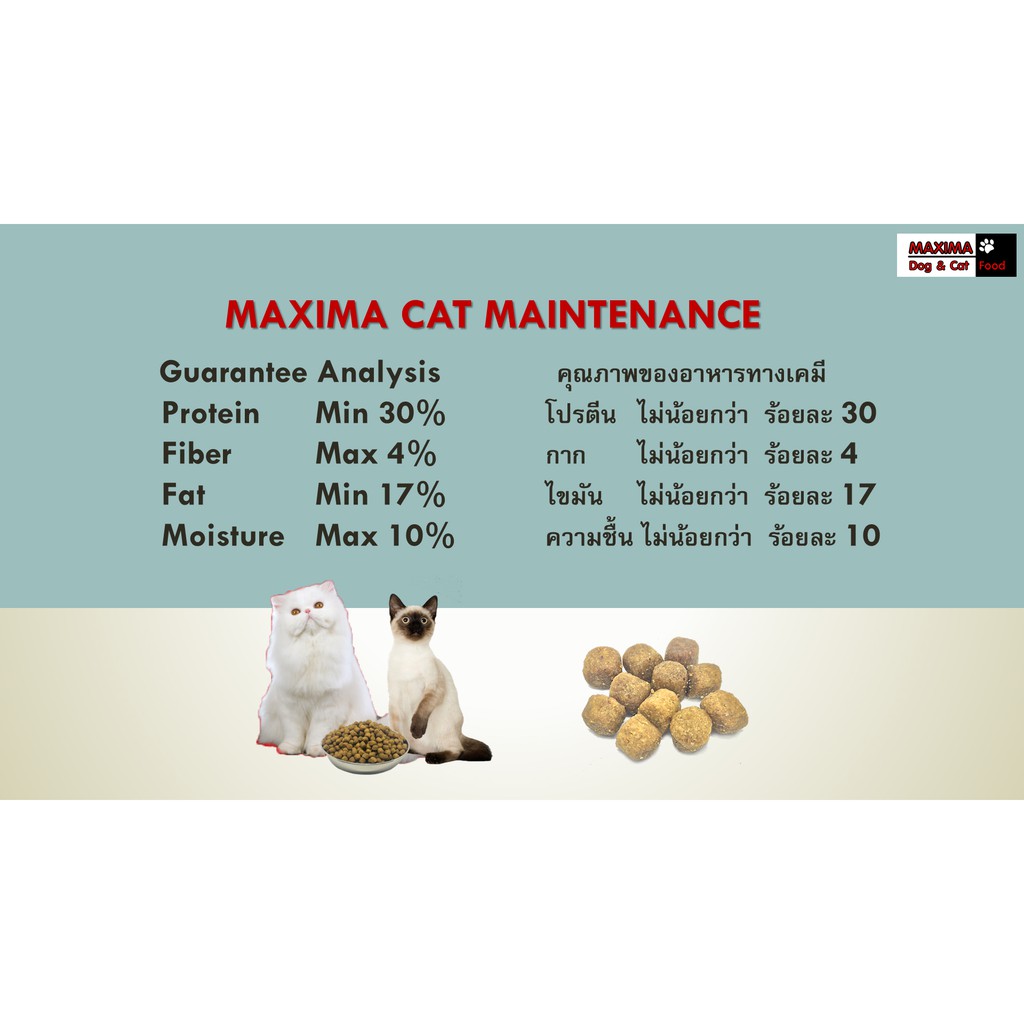 MAXIMA CAT MAINTENANCE 15 KG อาหารสำหรับแมว 15 กก. - maximathailand ...