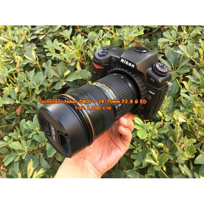 โมเดลกล้อง Nikon D800 24-70mm F2.8 G ED - wutniddd - ThaiPick