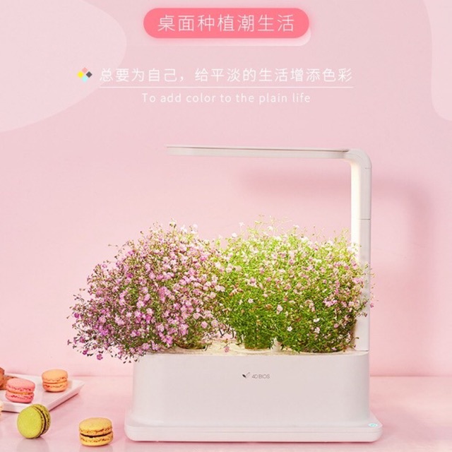 พร้อมส่ง - Xiaomi Tiny Green mini-farm for plants 3 ต้น/กระถางต้นไม้ ...