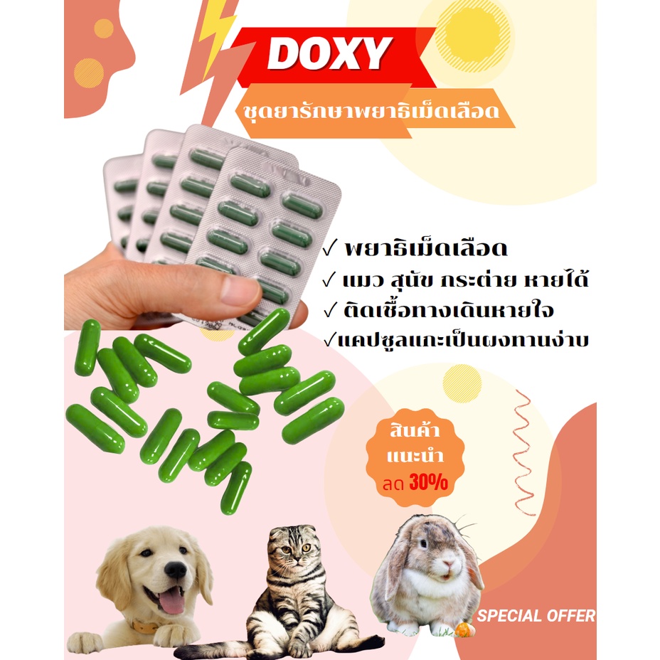 ยารักษาพยาธิเม็ดเลือดสุนัข แมว กระต่าย Doxy - pharmagn - ThaiPick